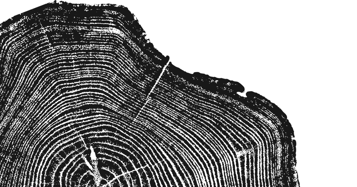 Round-Ups® | Acorns